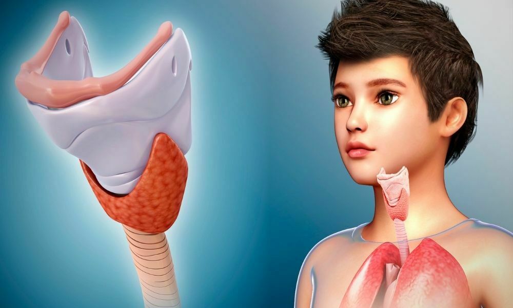 Timoma Nedir? Belirtileri ve Teşhisi Nedir? | Prof. Dr. Adalet Demir